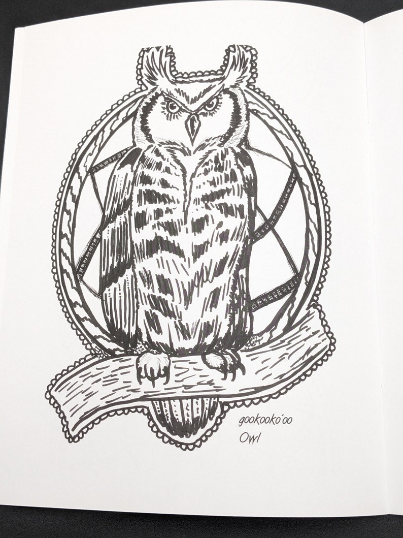 Ojibwe Art Coloring Book: Anishinaabe Traditions by David Edwards - Etsy