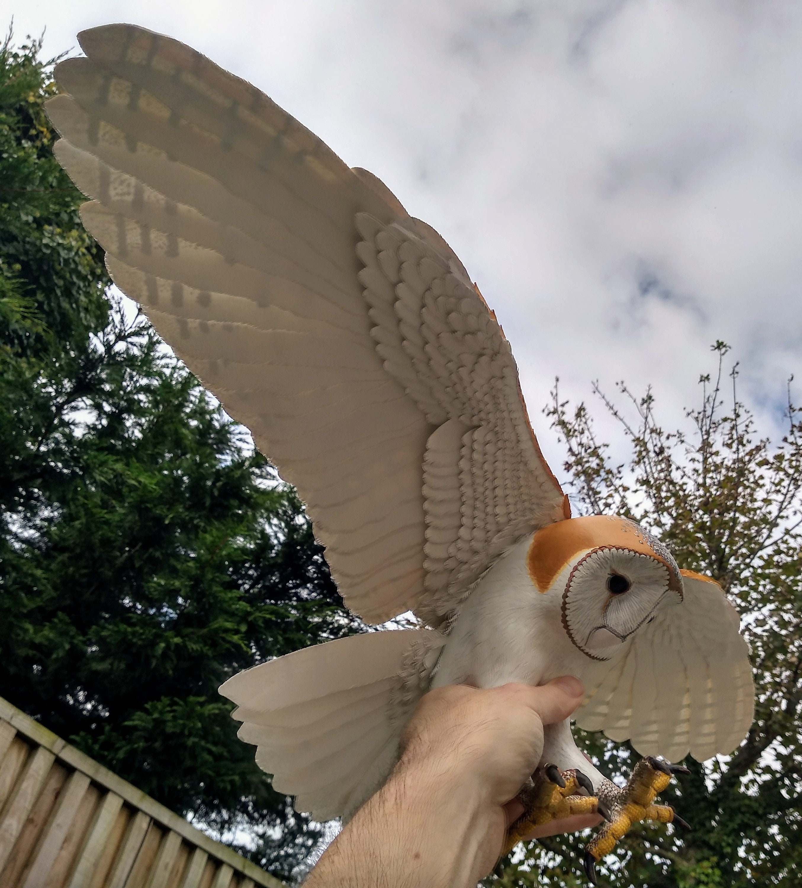 Hand Carved Wood Barn Owl, With Paper Feathered Wings and Tail. - Etsy