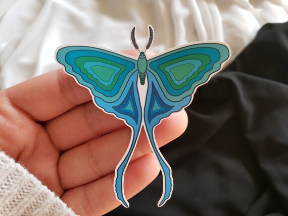 Luna Moth Sticker Hand Drawn Sticker Handmade Sticker Hydro - Etsy
