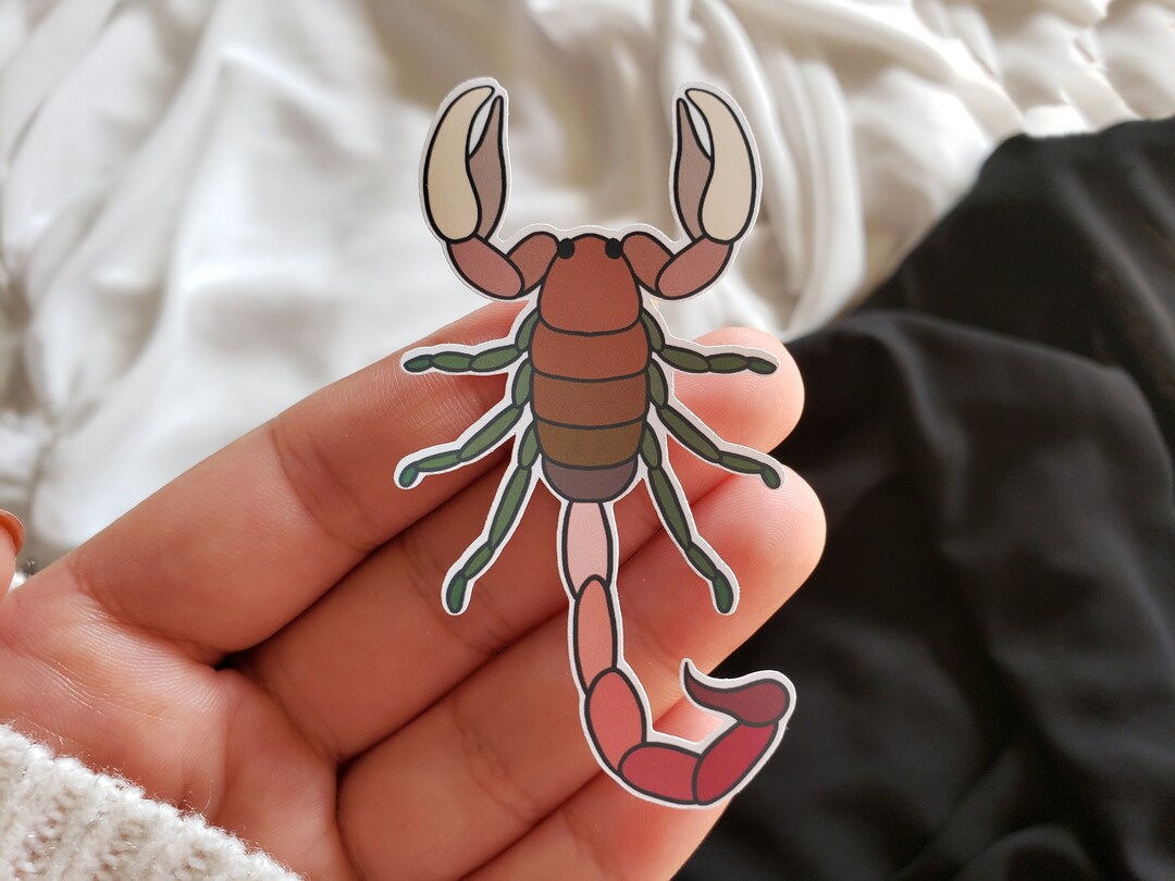 Scorpion Sticker, Hand Drawn Sticker, Handmade Sticker, Hydro Flask ...