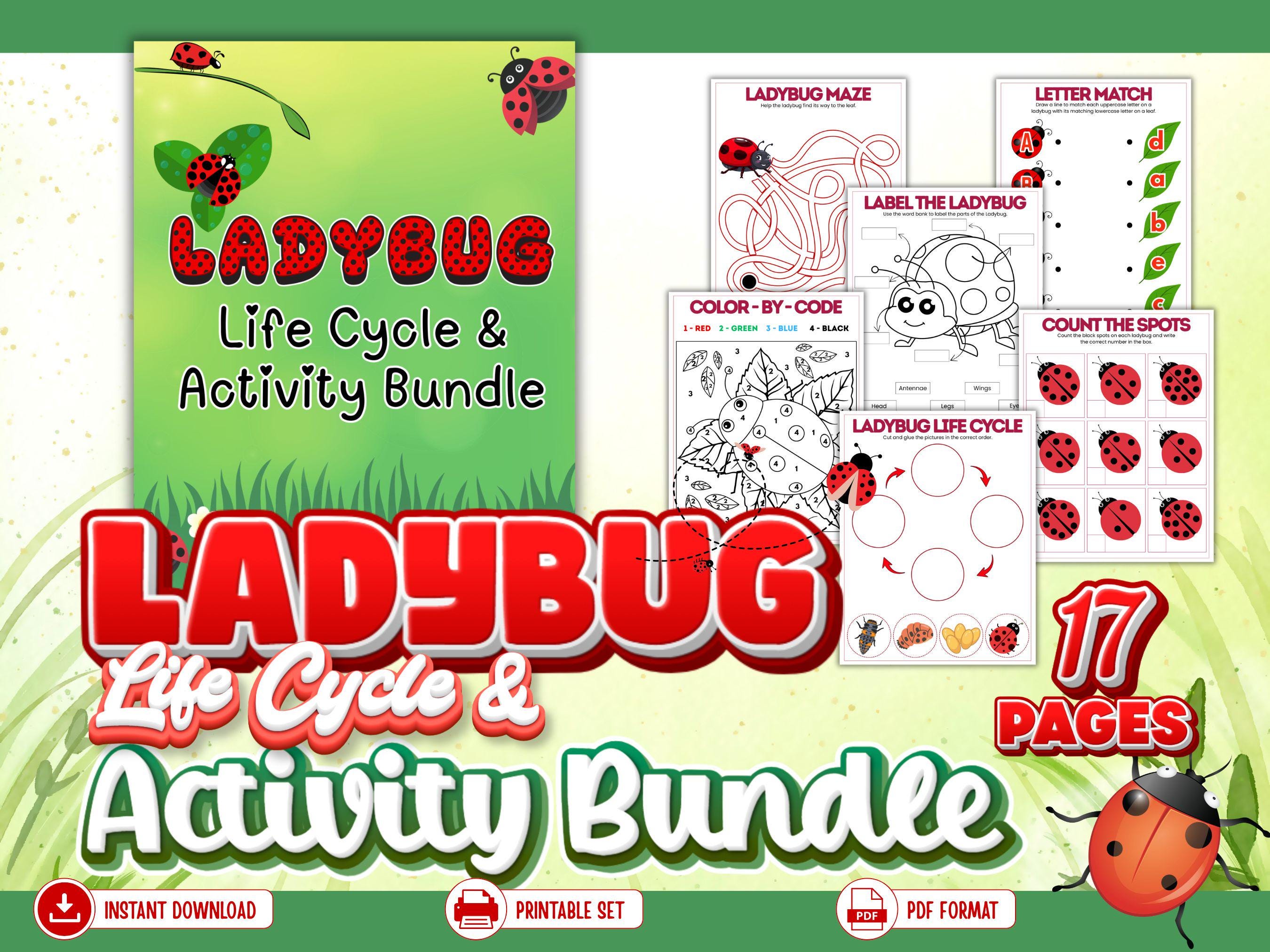 Ladybug Life Cycle Activity Bundle - Printable PDF - Instant Download ...