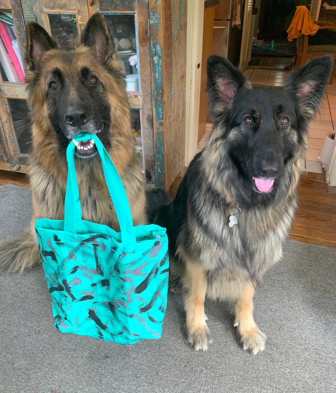 Shopping Bag Painted by Schultz and Wilhelmina - Etsy