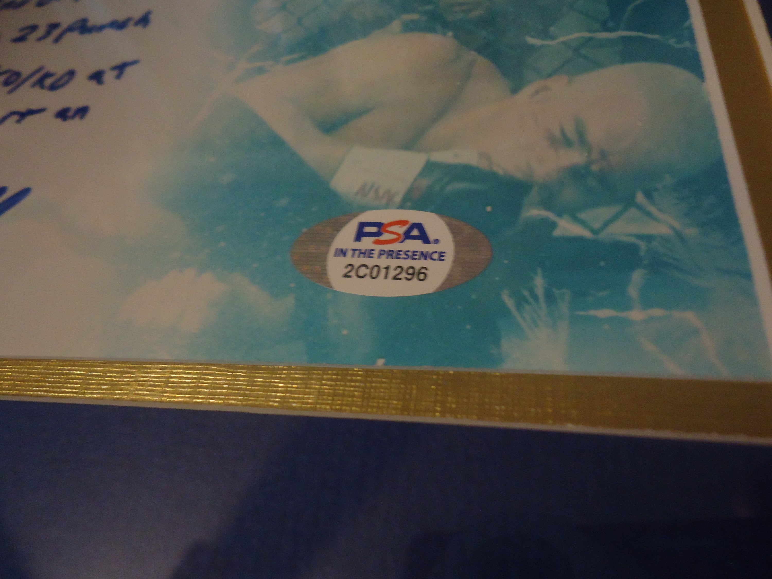 Chuck the Iceman Liddell Autographed 11x14 Photo Framed & Matted UFC ...