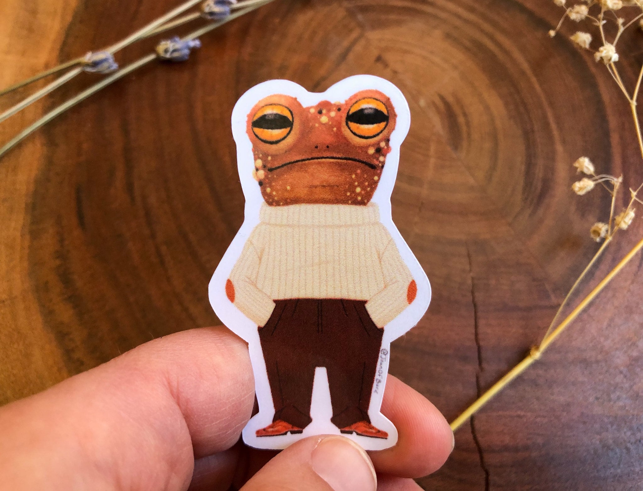 Cottagecore Toad Sticker Whimsical Cozy Fantasy Gift Fancy - Etsy