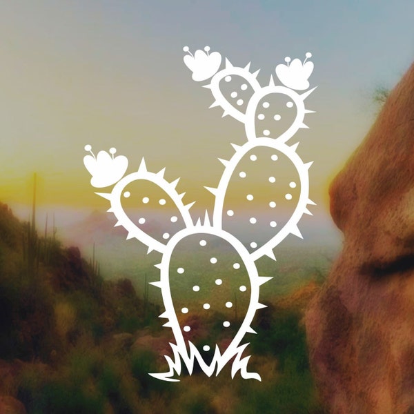 Cactus Decal - Etsy
