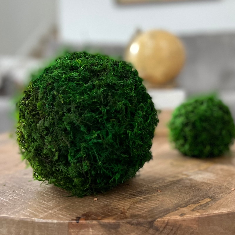 Christmas Moss Ball Real - Etsy