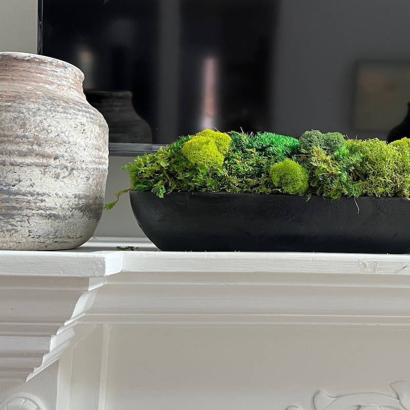 Moss Table Decor - Etsy