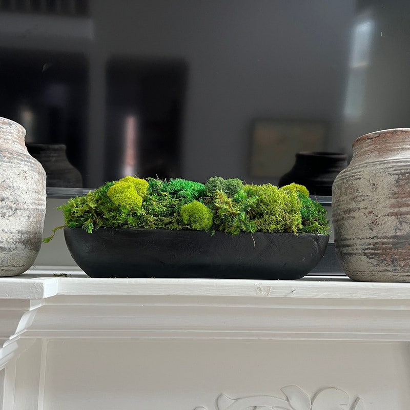 Moss Table Decor - Etsy