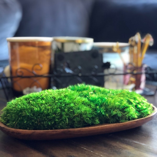 Moss Tray - Etsy