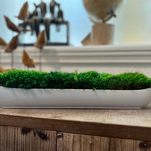 Moss Centerpiece - Etsy