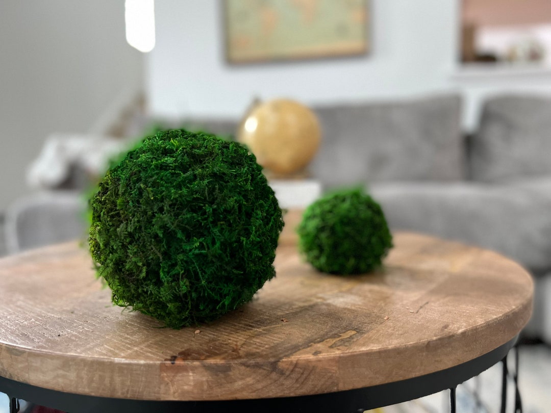 7” Extra Large Moss Balls Real Moss Zero Maintenance Home Decor Living ...