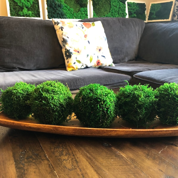 Moss Balls - Etsy