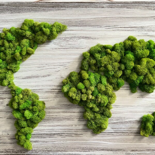 Moss Map - Etsy