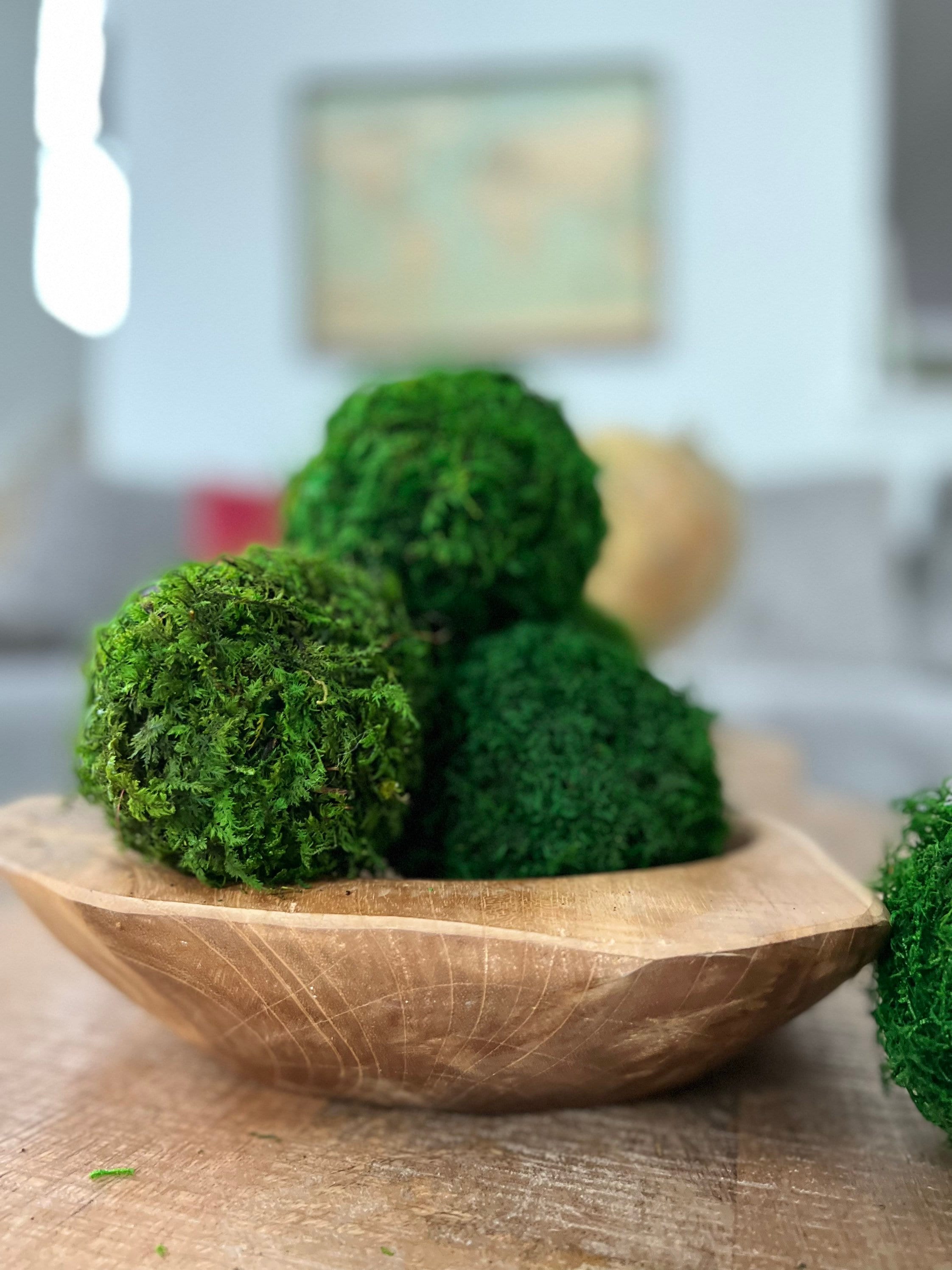 Preserved Moss Balls 2-4 Inches Diameter Maintenance Free - Etsy