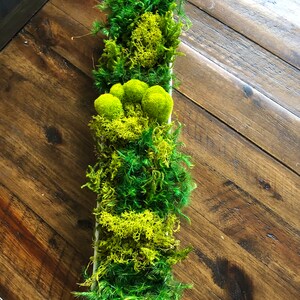 15" Moss Centerpiece: Modern White Ceramic Tray, Zero Maintenance - Etsy