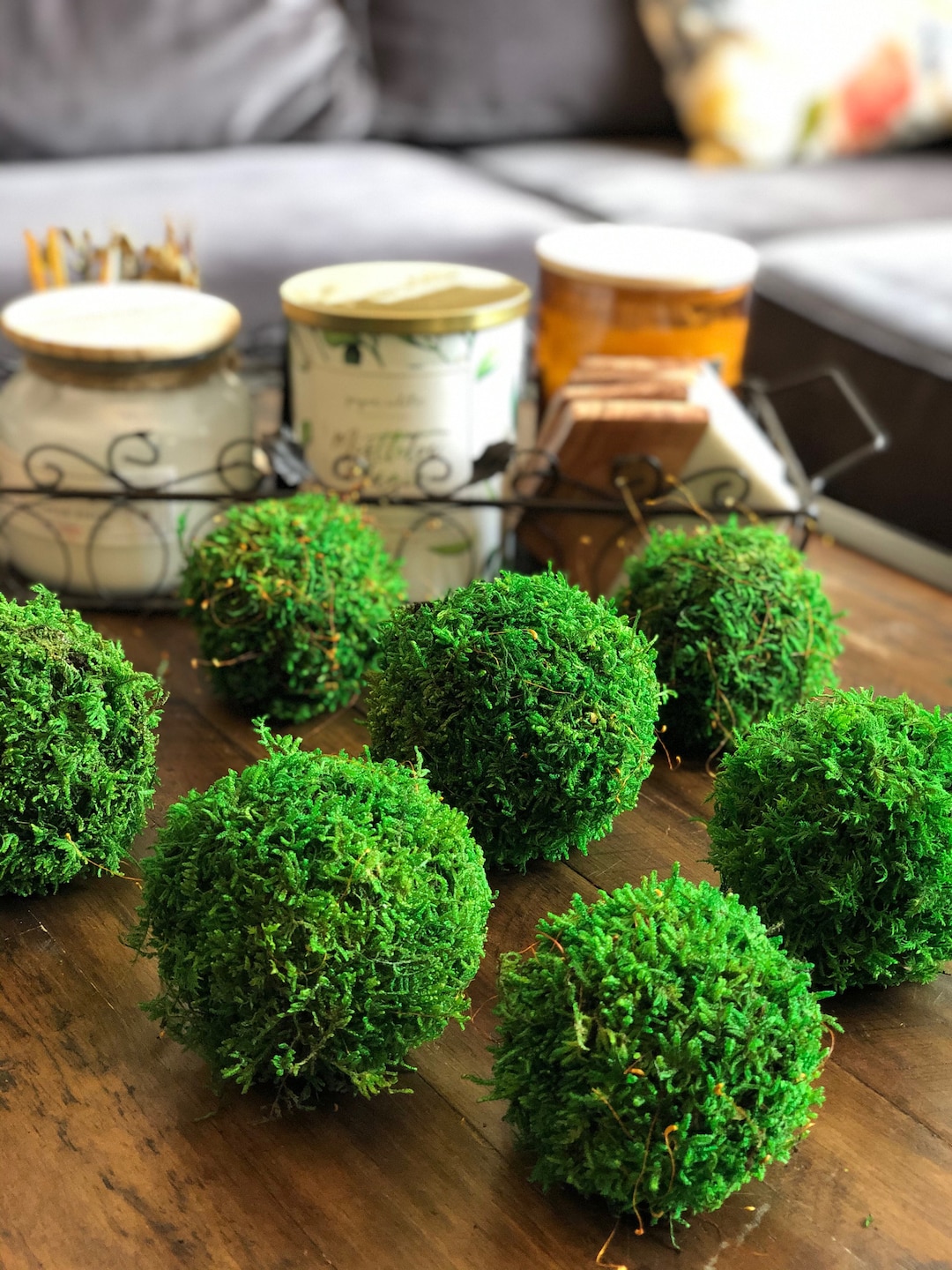 SHIPS TODAY Preserved Moss Balls: Handmade Green Home Decor (2-4 Inch ...