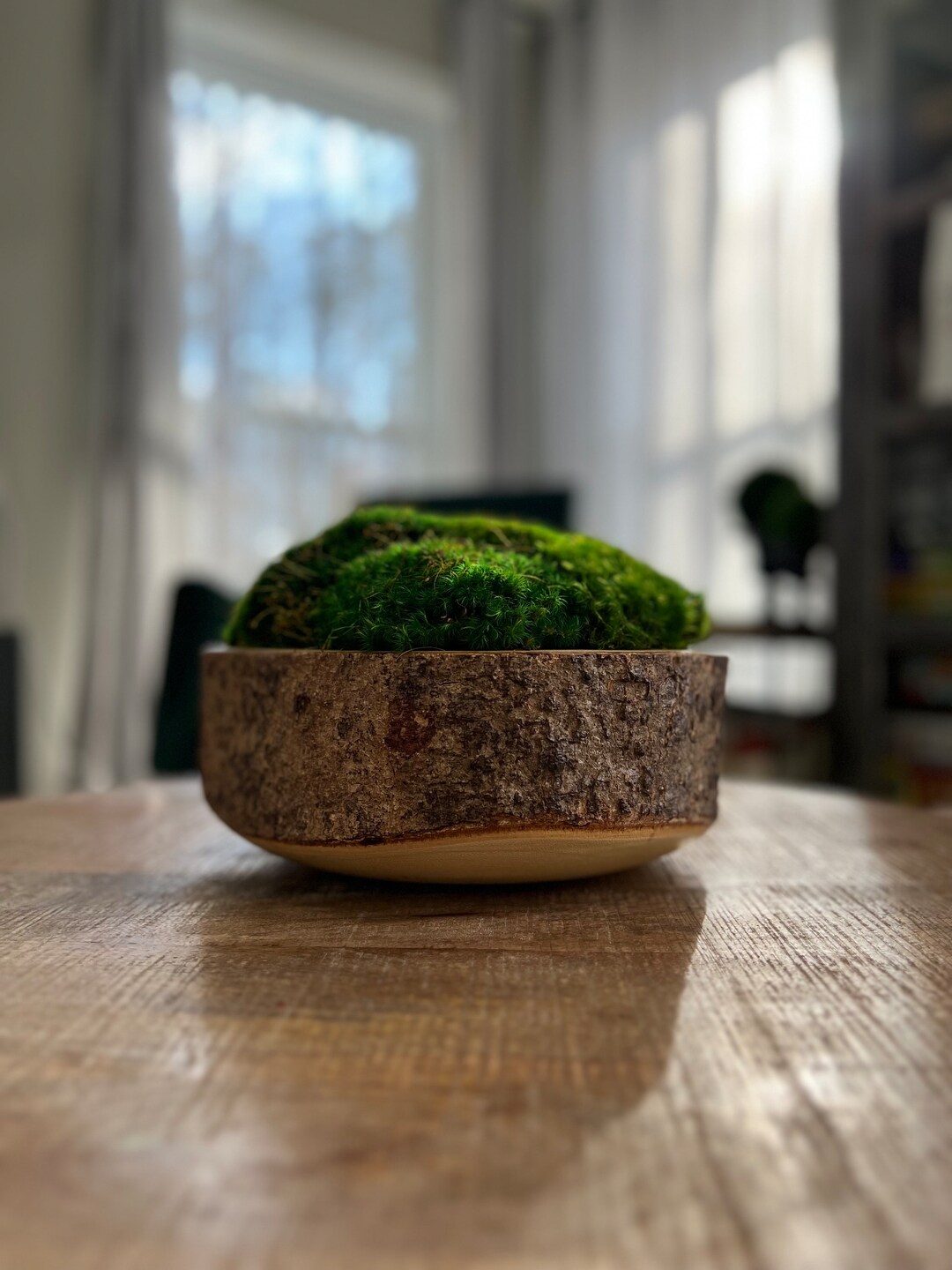 Preserved Moss Centerpiece: Hand Carved Tree Stump Bowl, Natural Decor ...