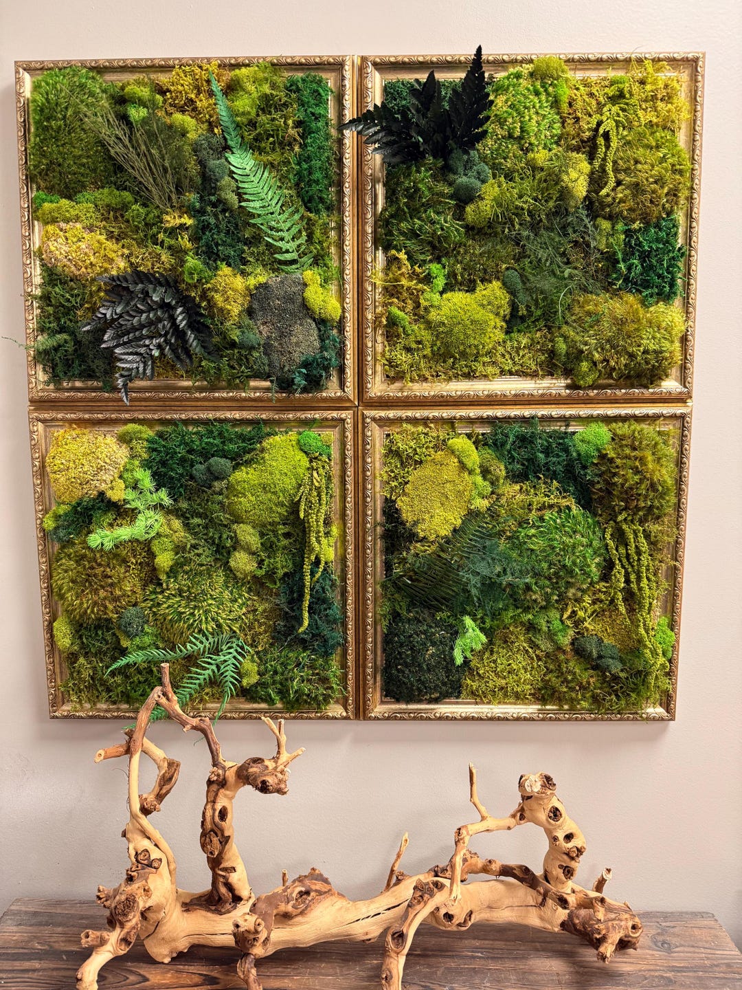 SHIPS TODAY Preserved Moss Wall Art: Combined Real Moss, Gold Wood ...