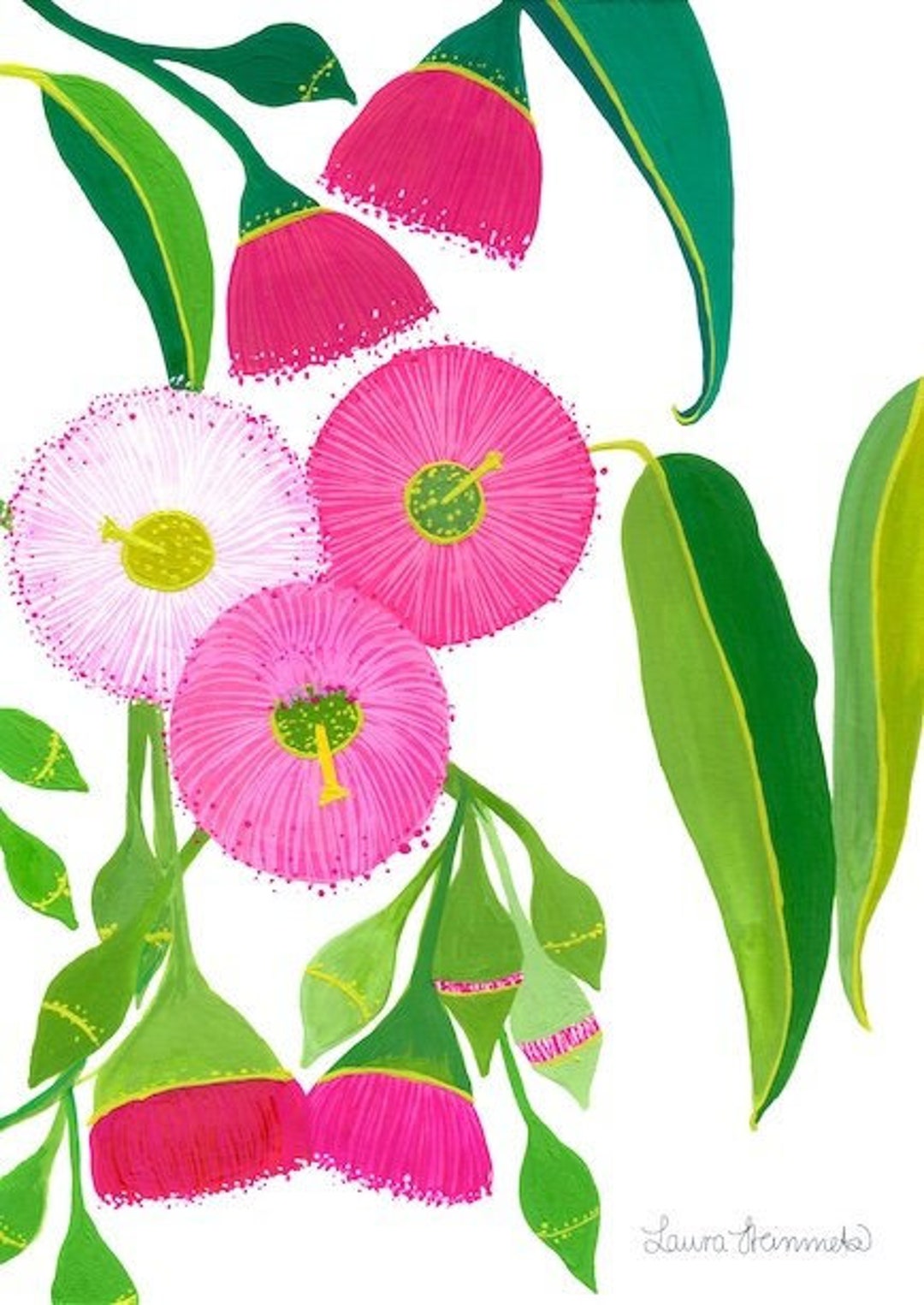 Pink Gum II, Pink Eucalyptus, Gumtree Print, Eucalyptus Print, Floral ...