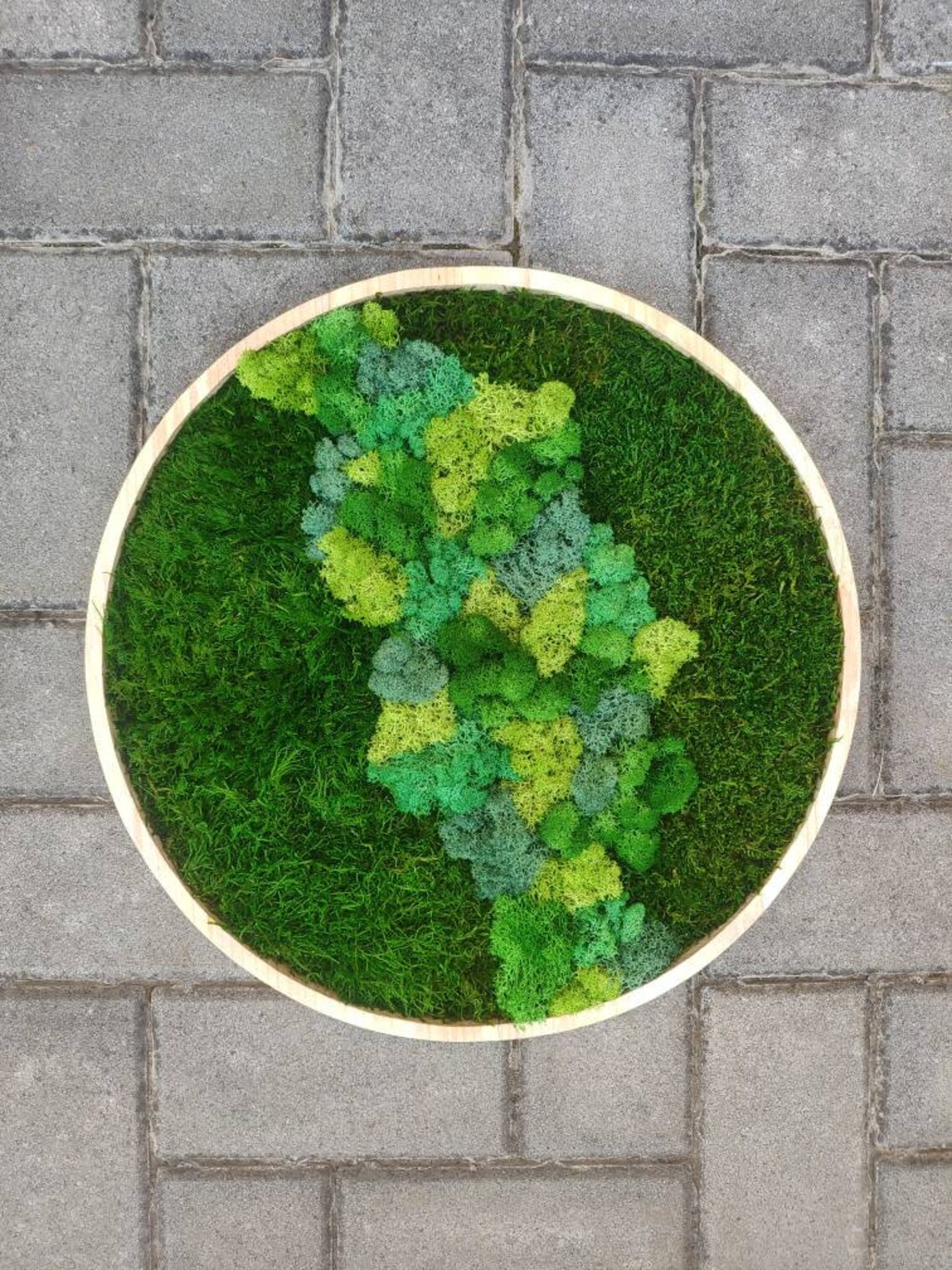 Moss wall art | Etsy