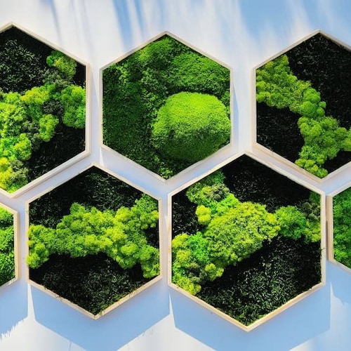 Choose Your Set of Moss Art of Preserved Moss Wall Hexagons - Etsy