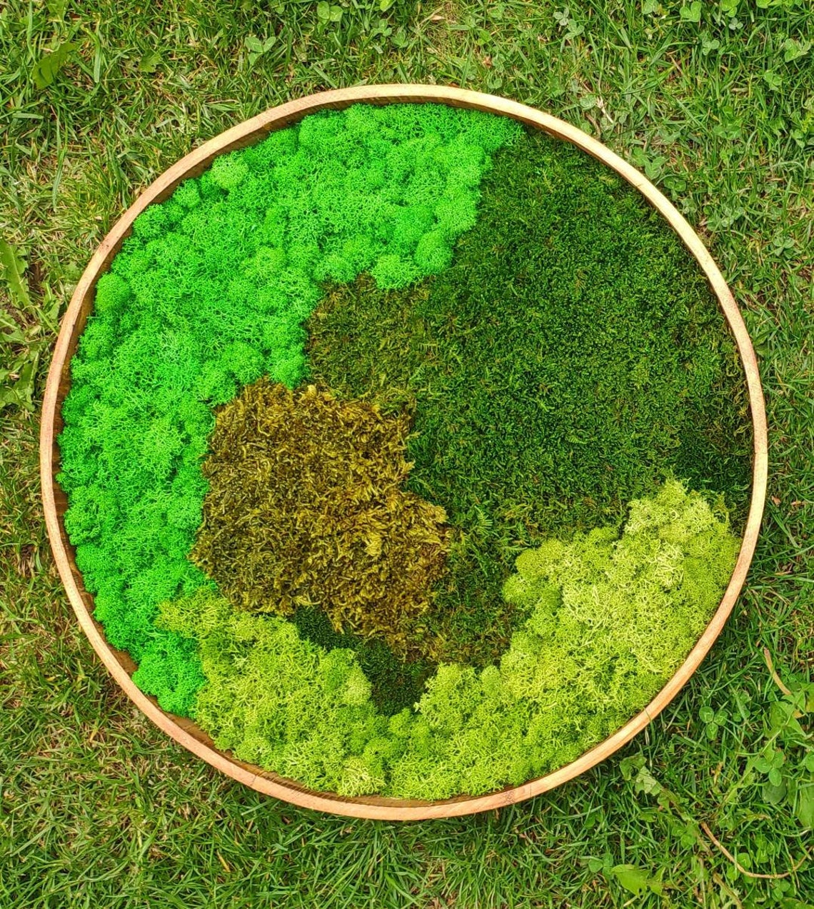 Moss wall art | Etsy