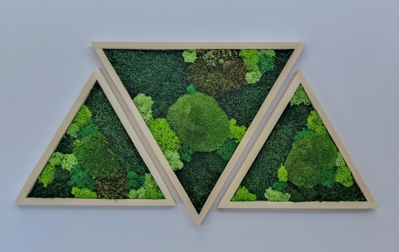 Stabilized Moss Wooden Triangle: Eco-friendly Wall Art - Etsy