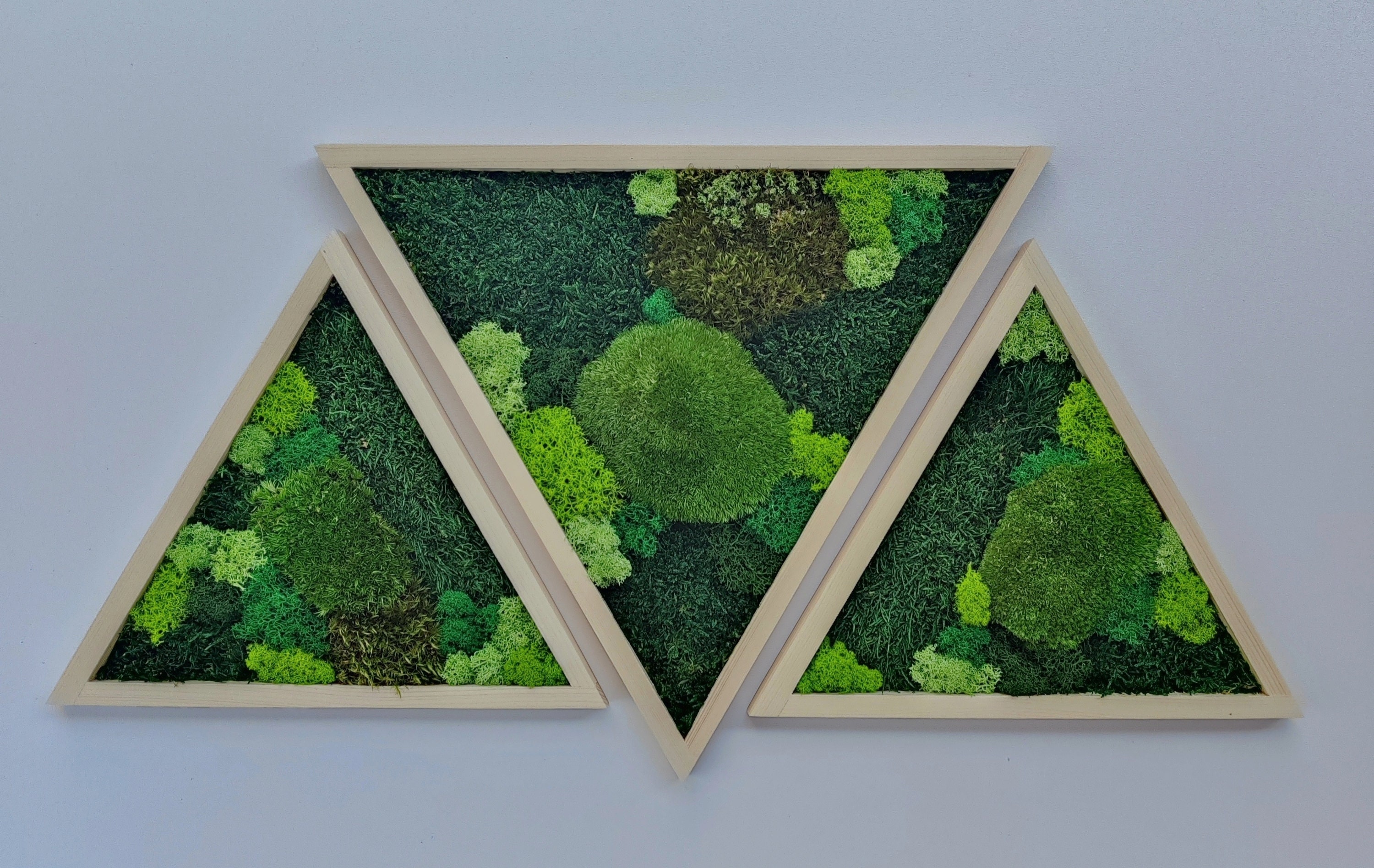 Stabilized Moss Wooden Triangle: Eco-friendly Wall Art - Etsy