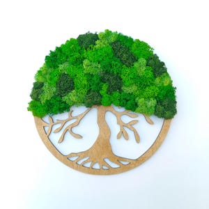 Moss Tree of Life, Moss Wall Art, - Etsy