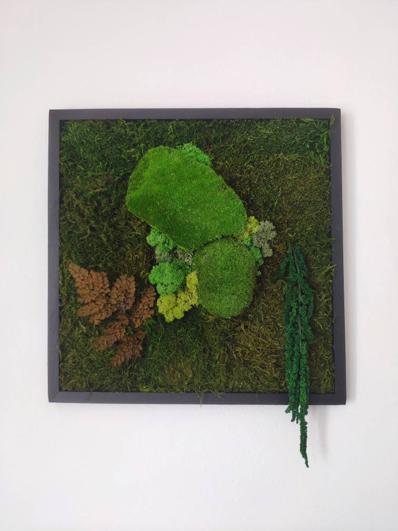 Moss Wall Art | Etsy