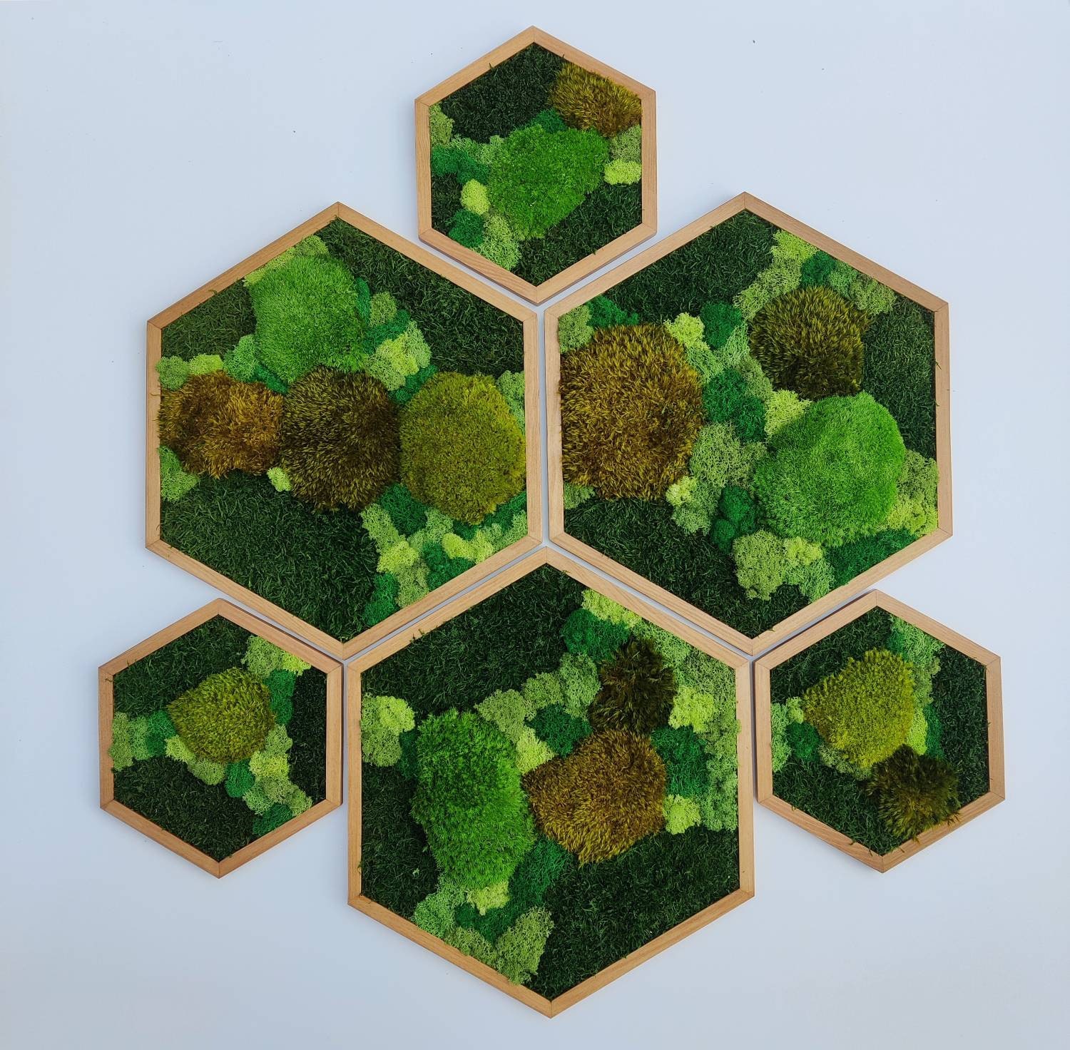 Moss Hexagons | Etsy