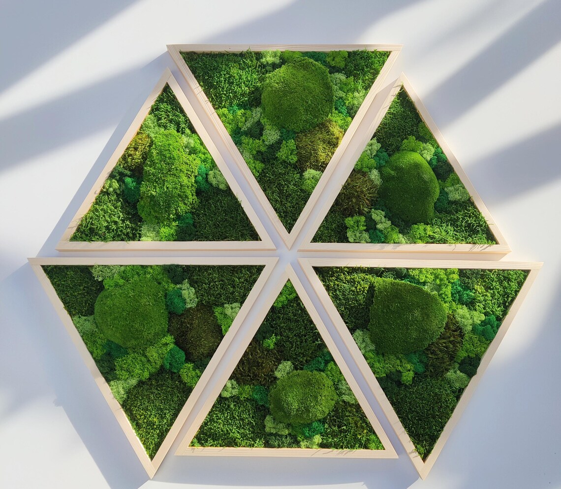 Stabilized Moss Wooden Triangle: Eco-friendly Wall Art - Etsy