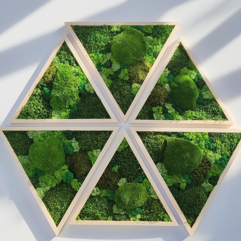 Triangle Wall Moss Decor - Etsy