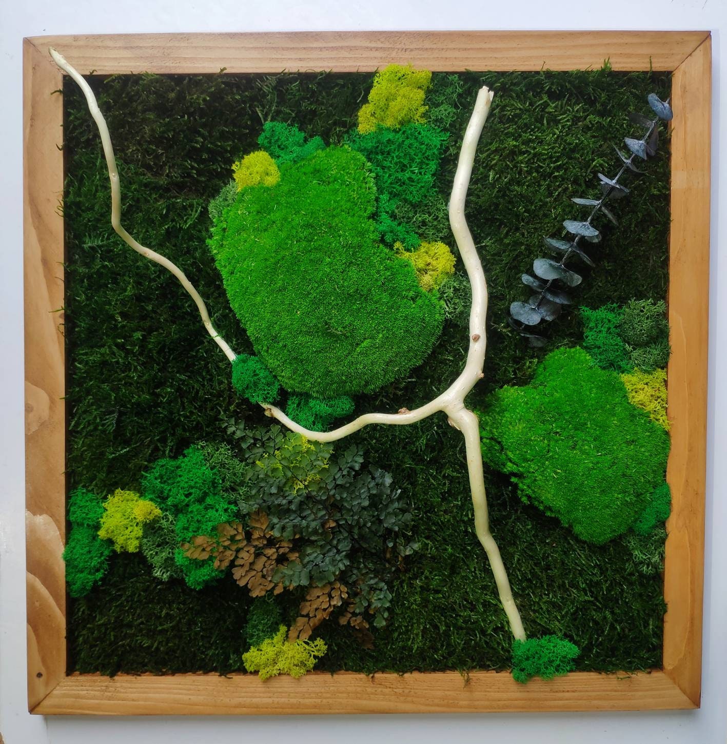 Moss Wall Art | Etsy
