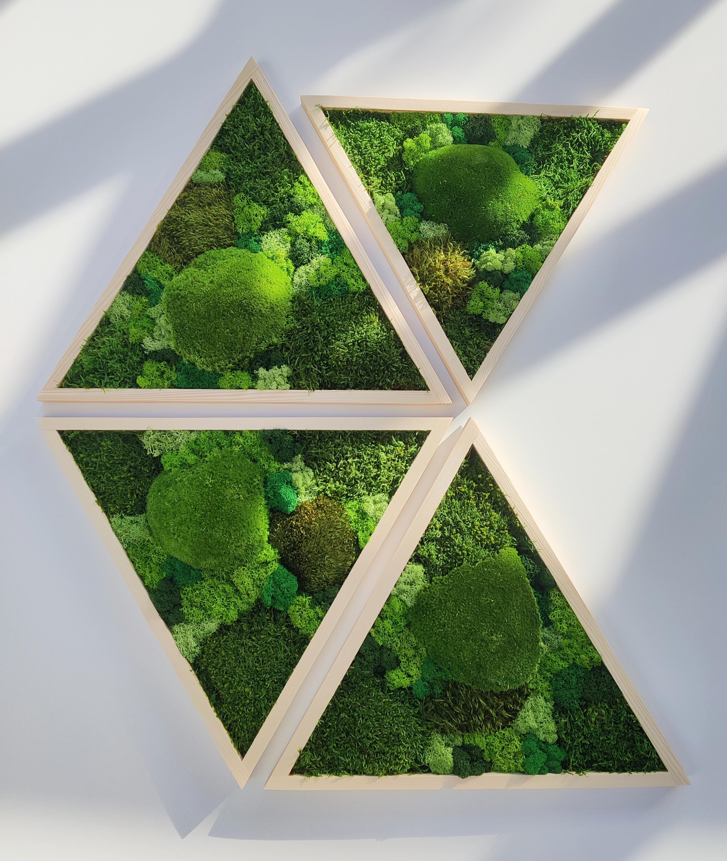 Stabilized Moss Wooden Triangle: Eco-friendly Wall Art - Etsy