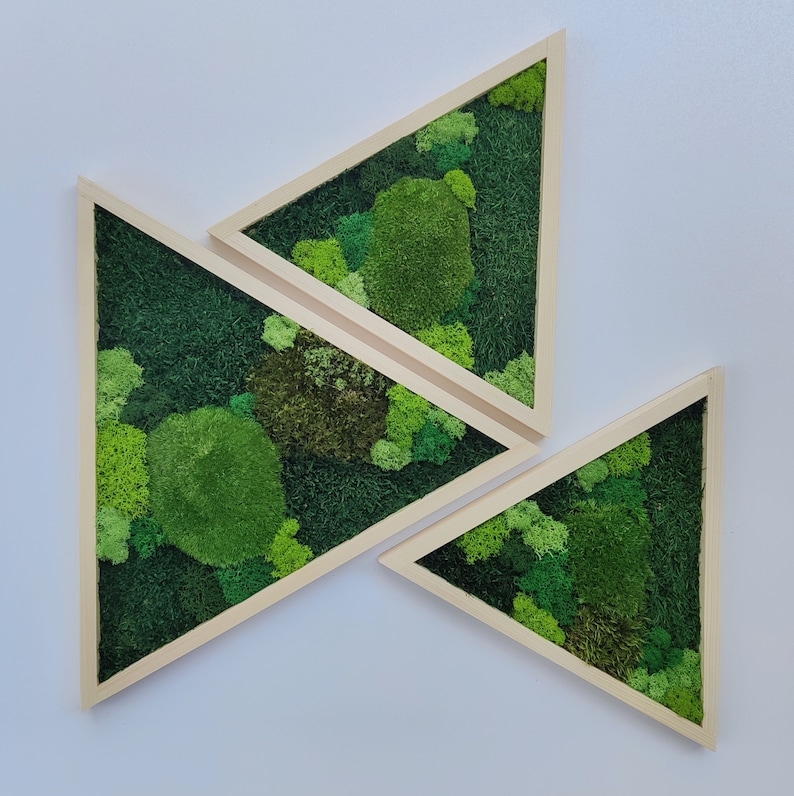 Stabilized Moss Wooden Triangle: Eco-friendly Wall Art - Etsy