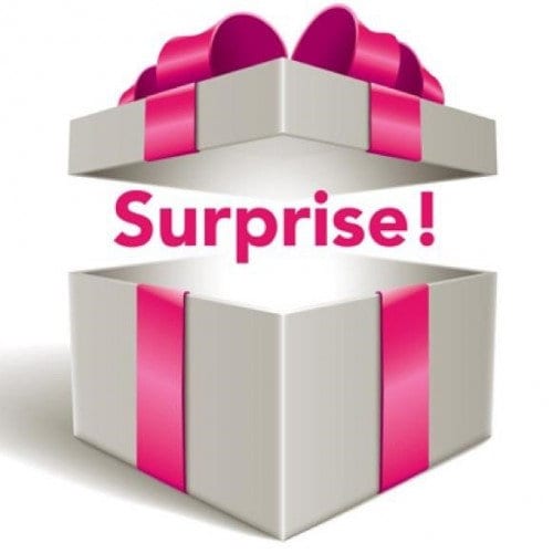 Surprise Box Huge Box of Full Sized Products FREE SHIPPING via USPS ...