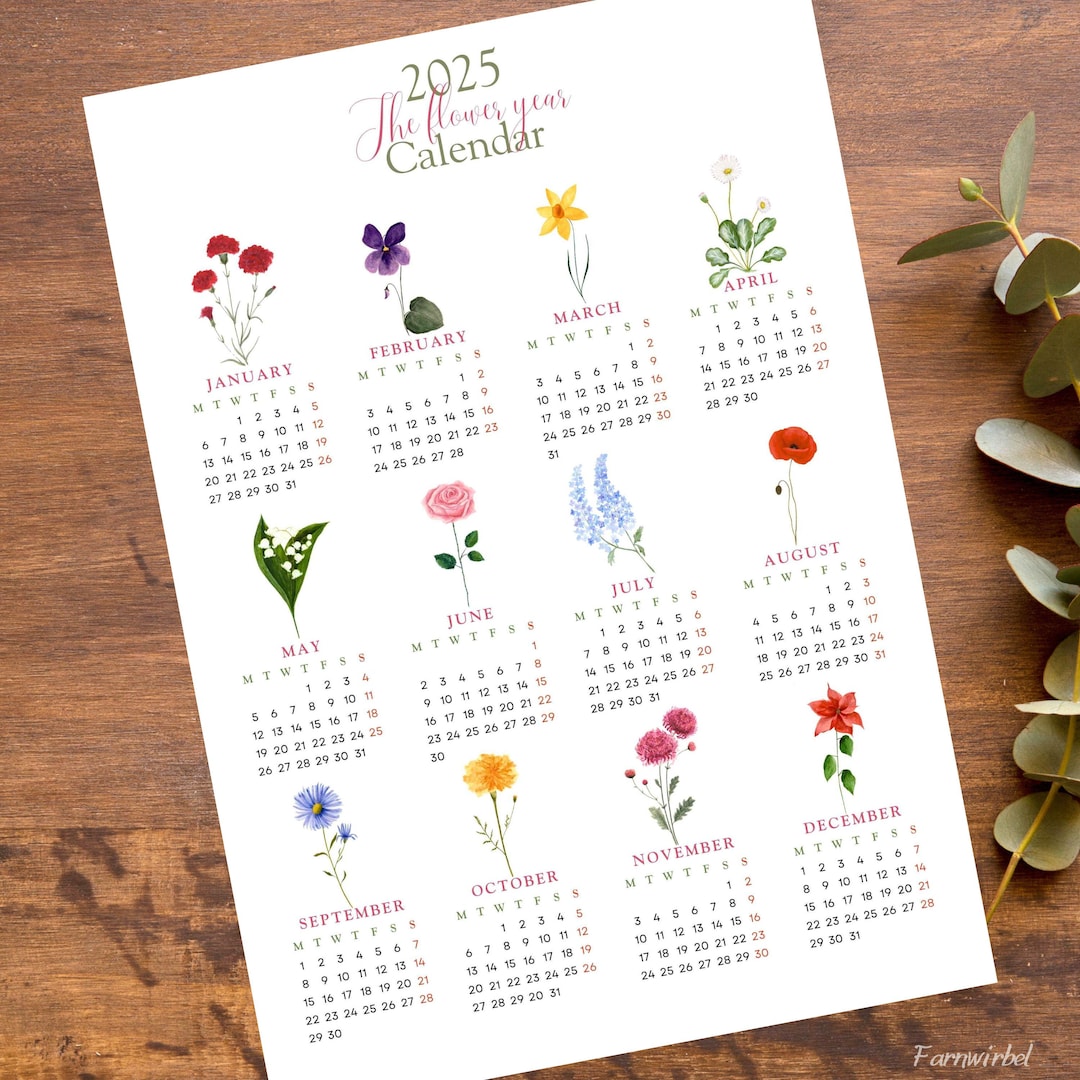 Flower Year Calendar 2025 Printable One-sheet Calendar English & German ...