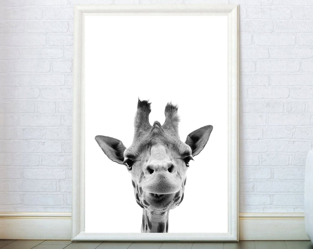 Giraffe Print, Camelopard Poster, Giraffe Tropical Gallery Home Decor ...