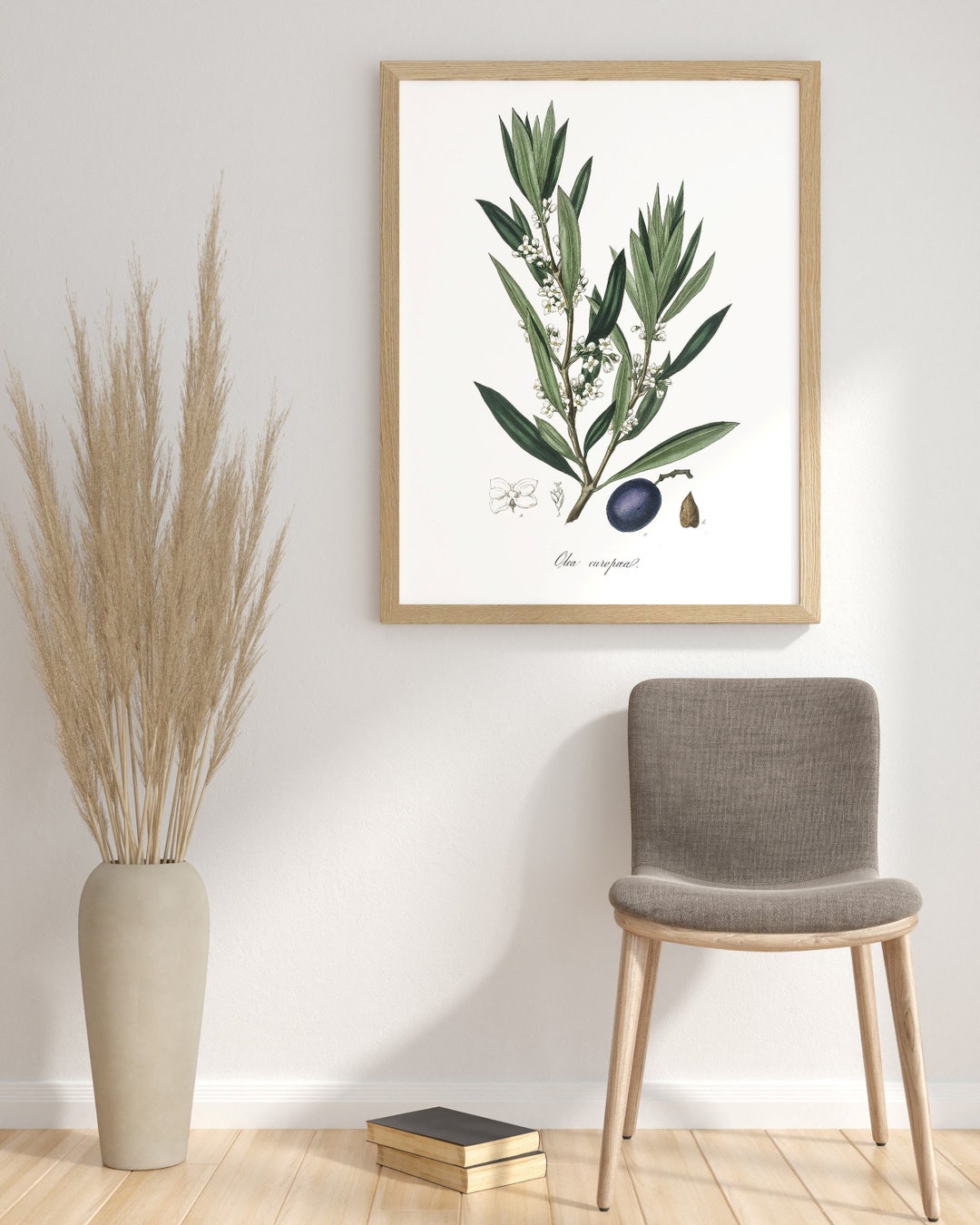 Olive Print, Olea Europaea Art, Olive Leaf Wall Art, Olive Tree Art ...