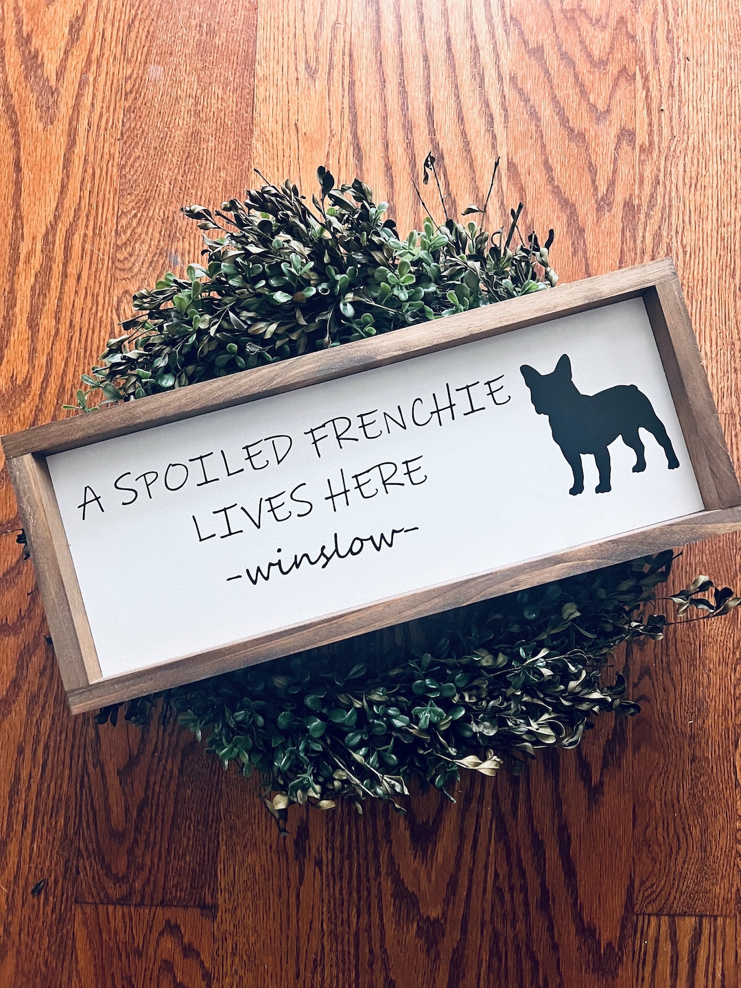Spoiled Frenchie - French Bulldogs - Squishy Face - Frenchie Lover ...