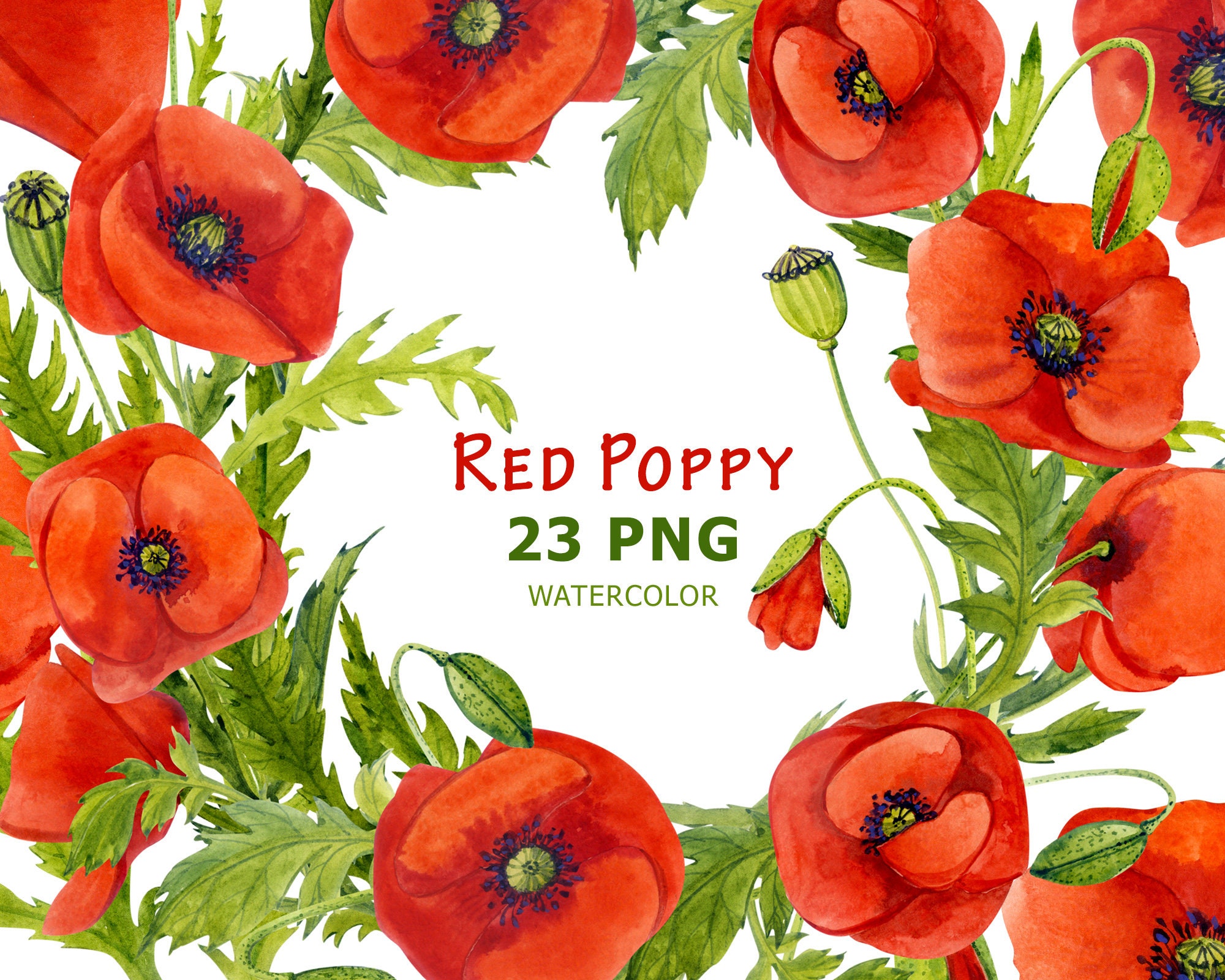 Poppy Watercolor Clip Art