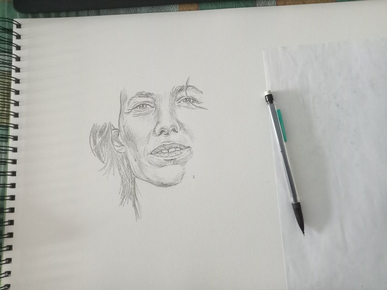 Portrait of Jane Birkin Made With Pencils - Etsy