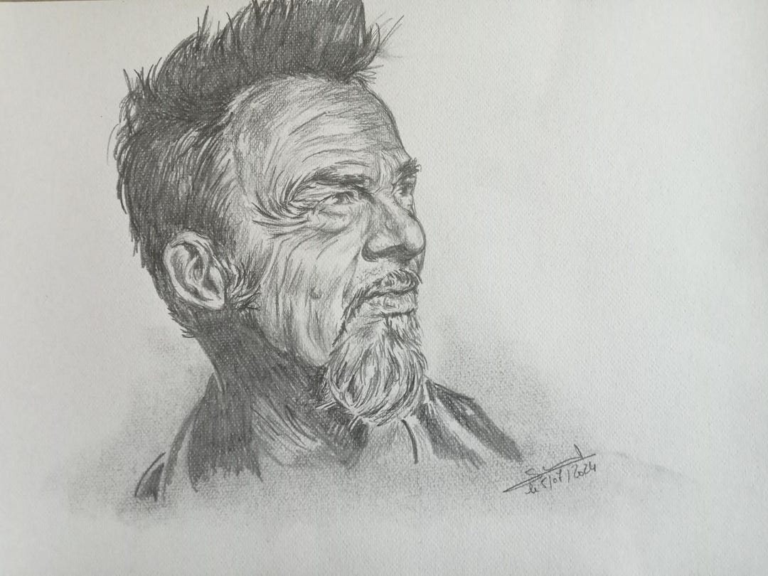 Portrait of the Singer Florent Pagny Made With Pencils - Etsy