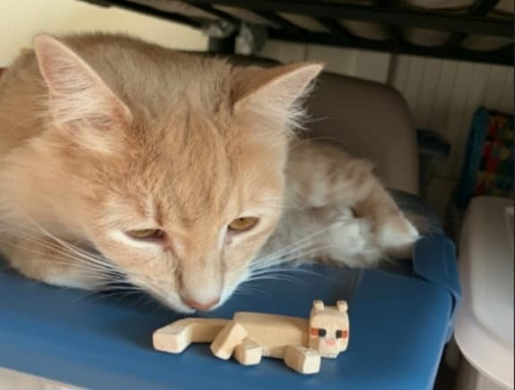 Custom Minecraft Cats - Etsy