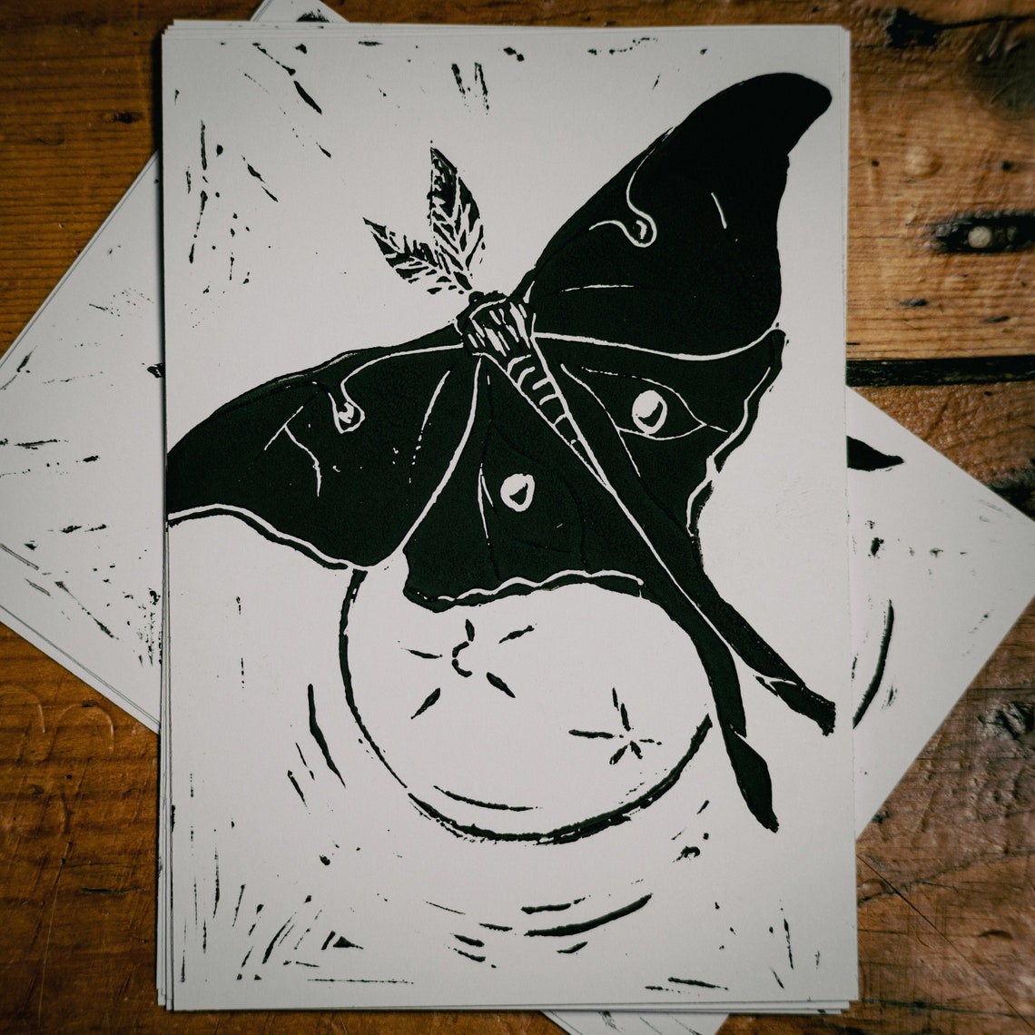 Luna Moth Lino Print black - Etsy
