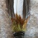 Magical Goose Feather Fan - Etsy