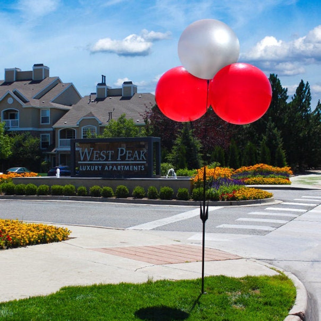Duraballoon® Triple Balloon Cluster Pole Kit - Etsy