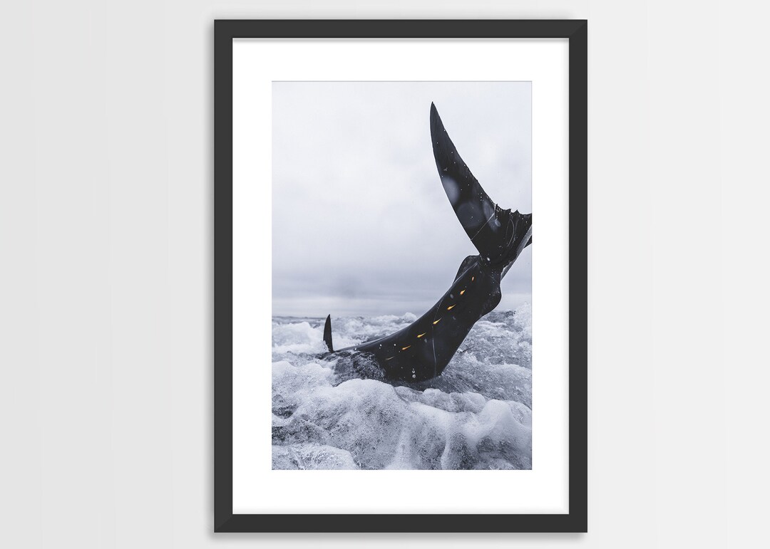 Bluefin Tuna – Wicked Tuna, Tuna Print, Ocean Print, Underwater ...
