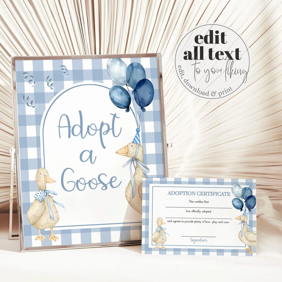 One Silly Goose Blue Adoption Party Game Certificate Boys First ...